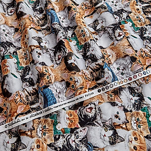 Cat Breeds Packed Cats Multi, Fabric by the Yard