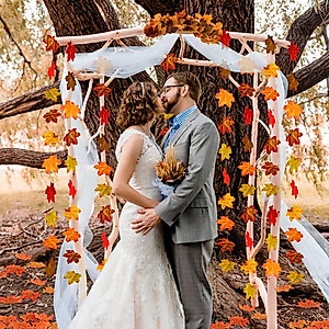 FHzytg Fall Maple Leaf Garland, Artificial Autumn Maple Leaves Plants Vine Hanging Garland for Home Garden Kitchen Office Wedding Wall Doorway Party Backdrop Decoration Thanksgiving Decor 6.6ft Long