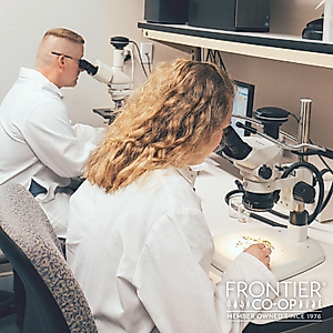 Frontier Co-op Organic Chai Tea, 1-Pound Bulk, Robust Combination of Black Tea & Spices, Great as Hot Tea & Crème Brulee