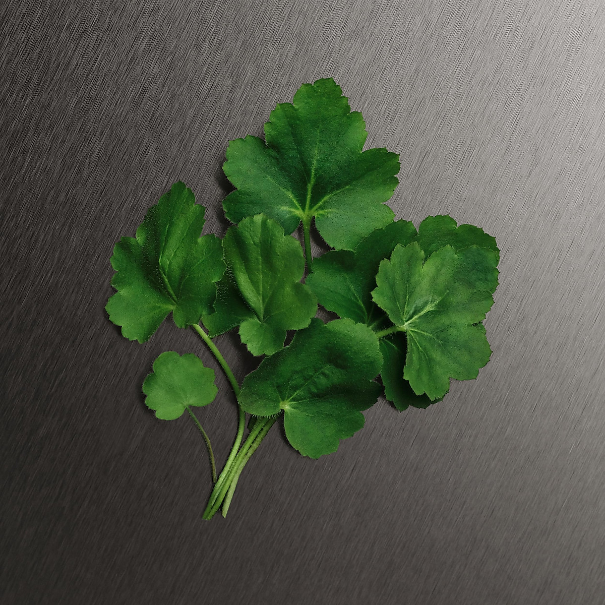 Calvin Klein Eternity Alcohol Free Deodorant Stick for Men, 2.6 Ounce