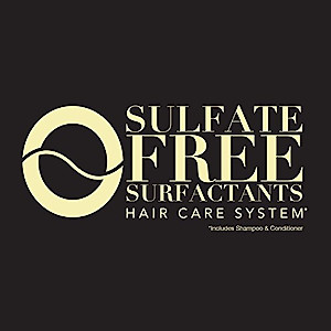 OGX Hydrate + Defrizz Kukui Oil Shampoo, 13 Ounce