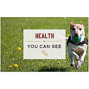 Merrick Limited Ingredient Diet Grain Free Wet Dog Food Real Lamb Recipe - 12.7 Ounce (Pack of 12)