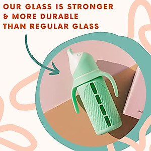 Tabor Place Glass Sippy Cup for Toddlers - The Luca | Spill-proof | Silicone Straw | Mint Green | 8 oz | Liquids Never Touch Plastic | Removable Handles