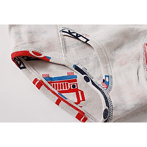 Boboking Little Boys,Little kid Briefs Dinosaur Truck Toddler Kids Underwear (Pack of 6) 2T/3T