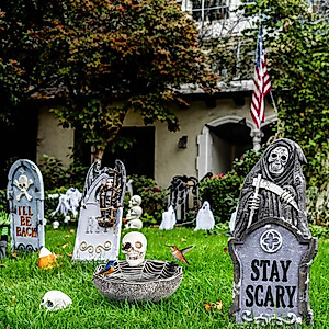 DREAMSOUL 12" Resin Bird Bath, Spider Net Bird Baths for Outdoors, Halloween Skull Birdbath Bowl for Halloween Party Garden Yard Lawn Decor