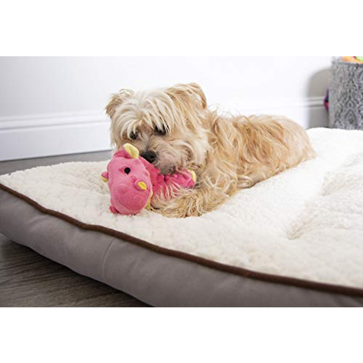 goDog Bubble Plush Dragons Squeaky Dog Toy, Chew Guard Technology - Coral, Small