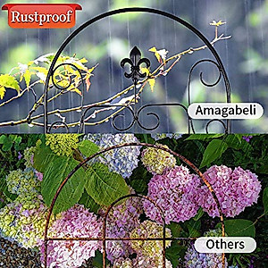 Amagabeli 2 Pack Garden Trellis for Climbing Plants 60" x 18" Black Iron Potted Support Vines Metal Wire Plant Trellis for Climbing Vegetables Flower Patio Roses Cucumbers Clematis Pots Supports GT05