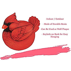 Spoontiques - Garden Décor - Cardinal Stepping Stone - Decorative Stone for Garden