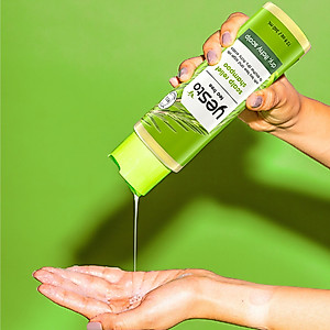 Yes To Tea Tree Shampoo with pH Balancing Formula, Nourishing Sage Oil, for Dry, Itchy Scalp Relief, Natural, Vegan & Cruelty Free, 12 Fl Oz