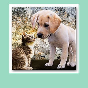 Hamilco White Cardstock Scrapbook Paper 12x12 65lb Card Stock – 25 Pack