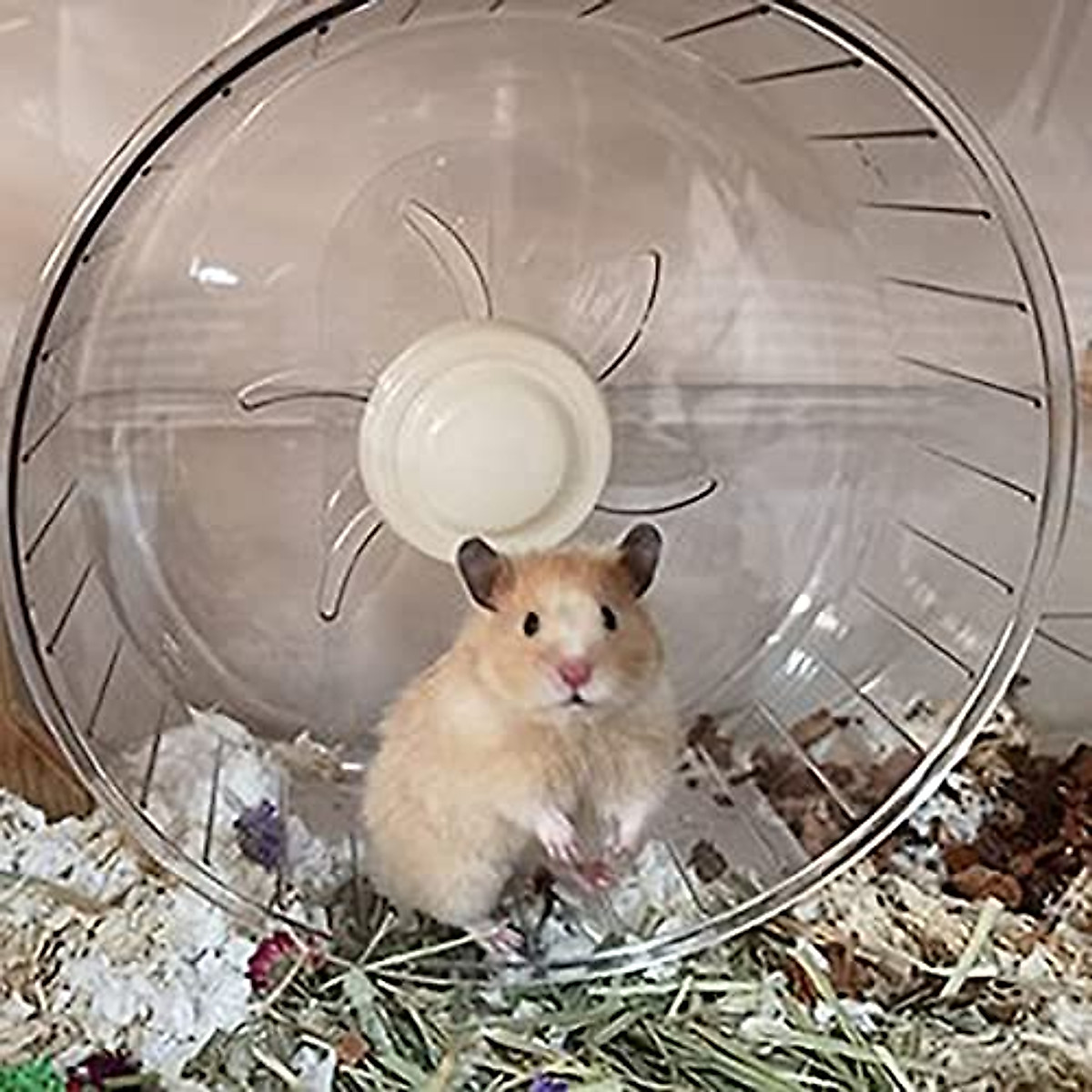WHFPS Silent Hamster Exercise Wheel - Hamster Toy Accessories 7.9 Inch Running Spinner Quiet Hamster Runner for Small Animal Pet Gerbil Dwarf Syrian Hamster Hedgehog Rat Mouse Mice etc.