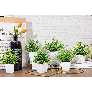 Der Rose 6 Pack Fake Plants Mini Artificial Plants for Home Office Farmhouse Bathroom Shelf Decor Indoor