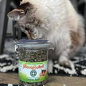 Meowijuana | Dried Premium Catnip Buds | Organic | High Potency Cat Treats | Perfect for Cat Toys | Grown In the USA | Feline and Cat Lover Approved
