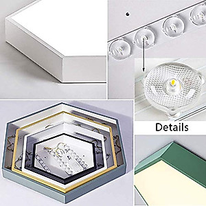DOGACA Modern Hexagon LED Ceiling Light Fixture with Remote Dimmable Flush Mount Ceiling Lamp for Hallway Stairway Hearth Kitchen Porch Entryway-White Light 40cm