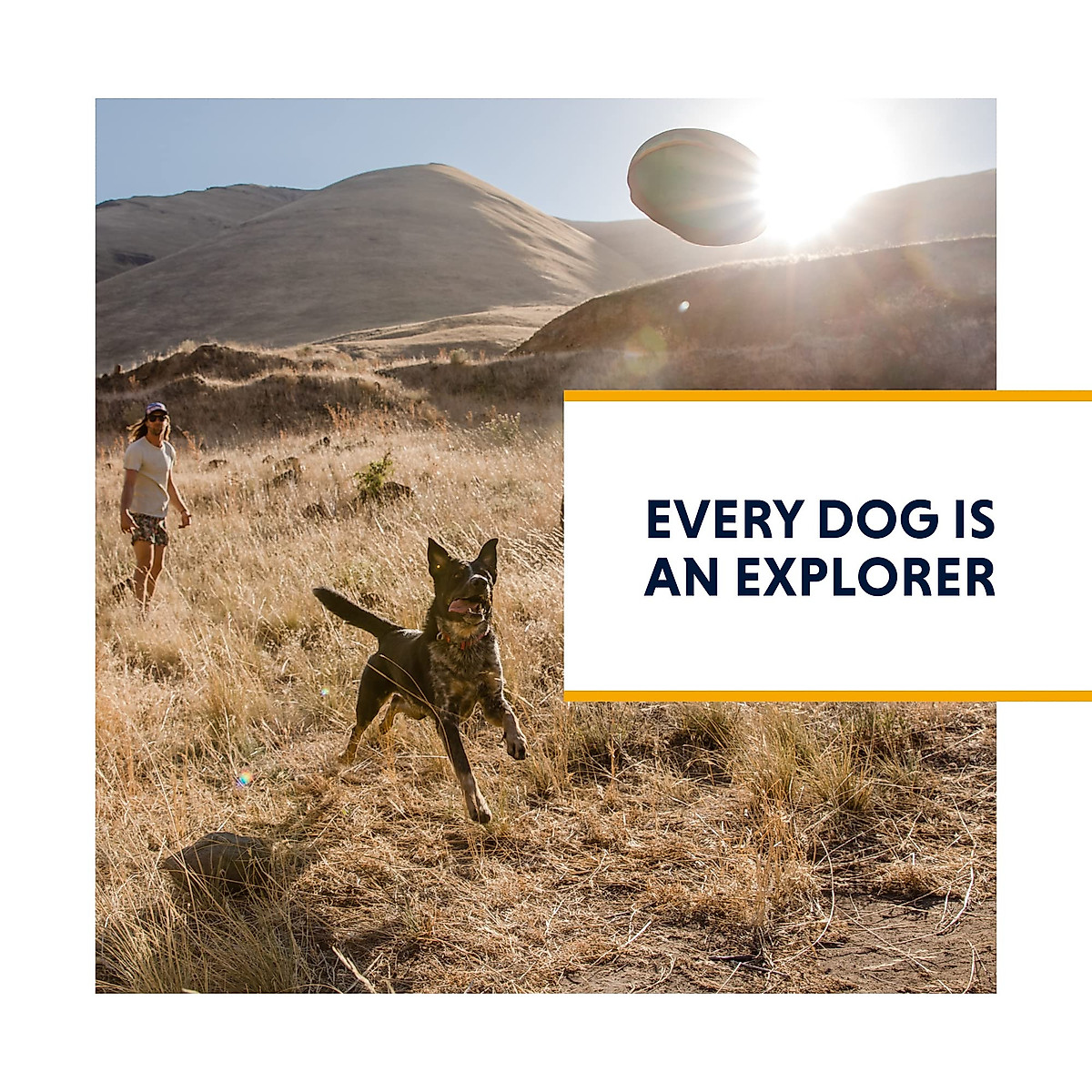 RUFFWEAR - Trail Runner System, Granite Gray