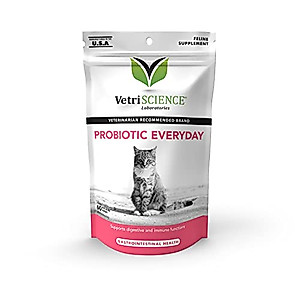 VetriScience Probiotic Everyday for Cats, Digestive Support Supplement, Duck Flavor, 60 Bite Sized Chews - Probiotics and Prebiotics, GI and Immune Support