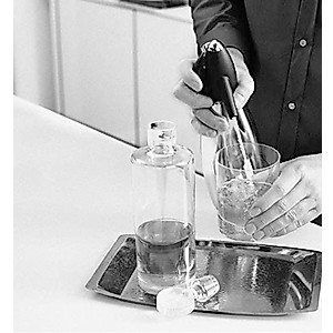 iSi North America Stainless Steel Soda Siphon, 1 Quart, Stainless