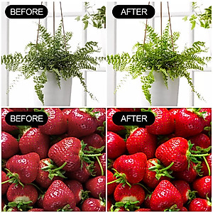 mfxmf 2 Pack LED Grow Light Bulbs A19 Bulb, Full Spectrum Plant Light Bulb, 9W E26 Grow Bulb Replace up to 80W, Grow Light for Indoor Plants, Flowers, Greenhouse, Indore Garden, Hydroponic