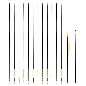 SAS Fiberglass Archery Arrow 28" with 3" Vanes + Coat Head + Plug Nock for Youth Target Practice Recurve Compound Bow Shooting Recreation Kid Range (Black 12/Pack)