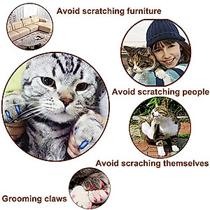 JOYJULY 140pcs Pet Cat Kitty Soft Claws Caps Control Soft Paws of 4 Glitter Colors, 10 Colorful Cat Nail Caps Covers + 7 Adhesive Glue+7 Applicator with Instruction, Medium M