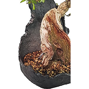 Bonsai Soil Mix - Premium Professional, All Purpose, Sifted and Ready to Use Tree Potting Blend in Easy Zip Bag - Akadama, Black Lava, Pumice & Charcoal (1.25 Quart)