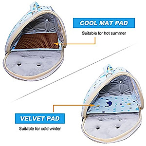 HOMEYA Guinea Pig Carrier Bag,Small Animal Pet Hamster Carrier Portable Breathable Outgoing Sling Bag for Ferret Hedgehog Chinchilla Rat Sugar Glider with Shoulder Strap Outdoor,Travel,Hiking-L(Ocean)