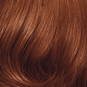 Clairol Nice'n Easy Perfect 10 Permanent Hair Dye, 6R Light Auburn Hair Color, Pack of 1