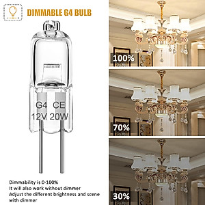 Ugvmn G4 Halogen Light Bulbs 20W 12V Clear Capsule Halogen Light Bulb 2 Pin Warm White 2700K Dimmable, Bi-Pin G4 Base for Cooker Hood, Crystal Chandeliers, Bathroom, 10 Pack