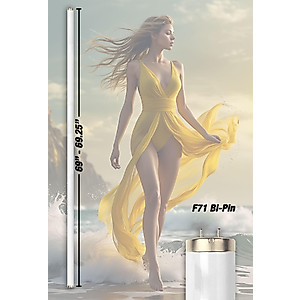 Brilliance Bronzer F71 100W-120W 5.0% Bi-pin Tanning Lamp (16)