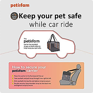 Top Load Soft Pet Carrier for Large and Medium Cats, 2 Kitties. Sturdy, Well-Ventilated, Cozy, Collapsible, Easy to get cat in