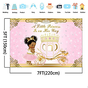 Mocsicka Little Royal Princess Baby Shower Backdrop Pink Princess Carriage Girl Baby Shower Background Ethnic Princess Newborn Props, 7x5ft