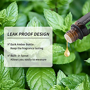 GREENSLEEVES Peppermint Essential Oil 100% Pure Organic Peppermint Aromatherapy Oils 10ml for Massage, Diffuser
