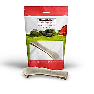 Downtown Pet Supply - Elk Antlers for Dogs - Premium Dog Bones Rich in Calcium, Phosphorus, Vitamins & Minerals - Dog Dental Treats & Natural Dog Chews - Split - 7-10in - Jumbo Thick