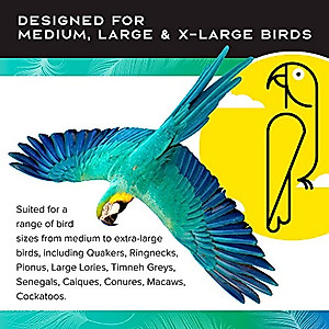 Featherland Paradise | Hanging Buffet Ball | Interactive Bird Toy and Treat Dispenser | Creative Foraging Systems | Ideal for Medium to Extra Large Birds