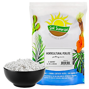 Horticultural Perlite Soil Additive (4 Quarts); for Enhanced Potting Mix Drainage and Growth