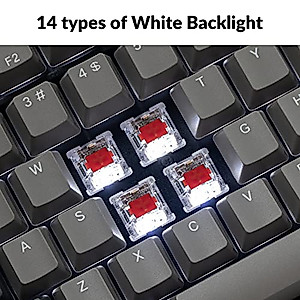 Keychron C2 Pro Wired Custom Mechanical Keyboard Full Size Layout QMK/VIA Programmable Macro White Backlit with Keychron K Pro Red Switch OEM Profile Double-Shot PBT Keycaps for Mac Windows Linux