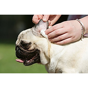 DOCTOR BEASLEY'S ADVANCED EAR BOMB Is a Powerful 1 Step Cleaning Solution Treatment for Dog Ear Infections; Cleaner Replaces Drops, Vet Visits, Medication, Antibiotics for Yeast and Fungus, 8 ounce