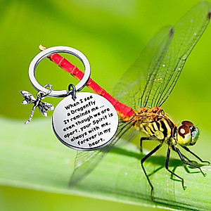 PENQI Dragonfly Jewelry Dragonfly Memorial Gift When I See a Dragonfly It Reminds Me Your Spirit Is Always With Me Keychain Loss of Loved One Gift (Dragonfly Keychain)
