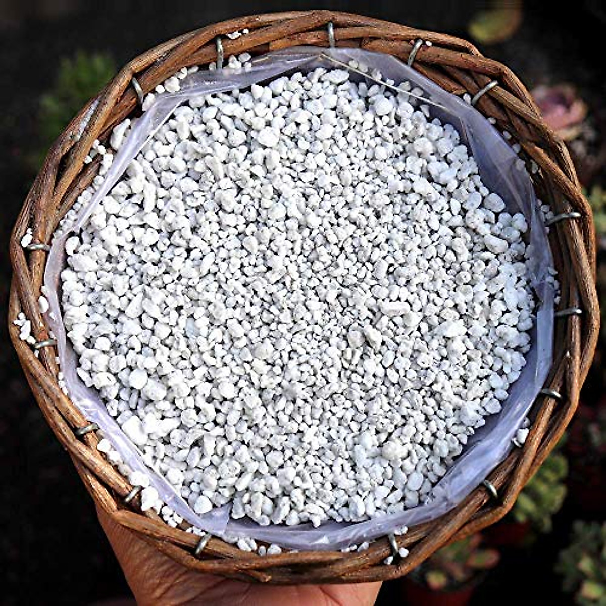 Organic Perlite for All Plants, All Natural Horticultural Soil Additive Conditioner Mix, Improve Drainage and Ventilation, Help Root Growth (2 Quarts)