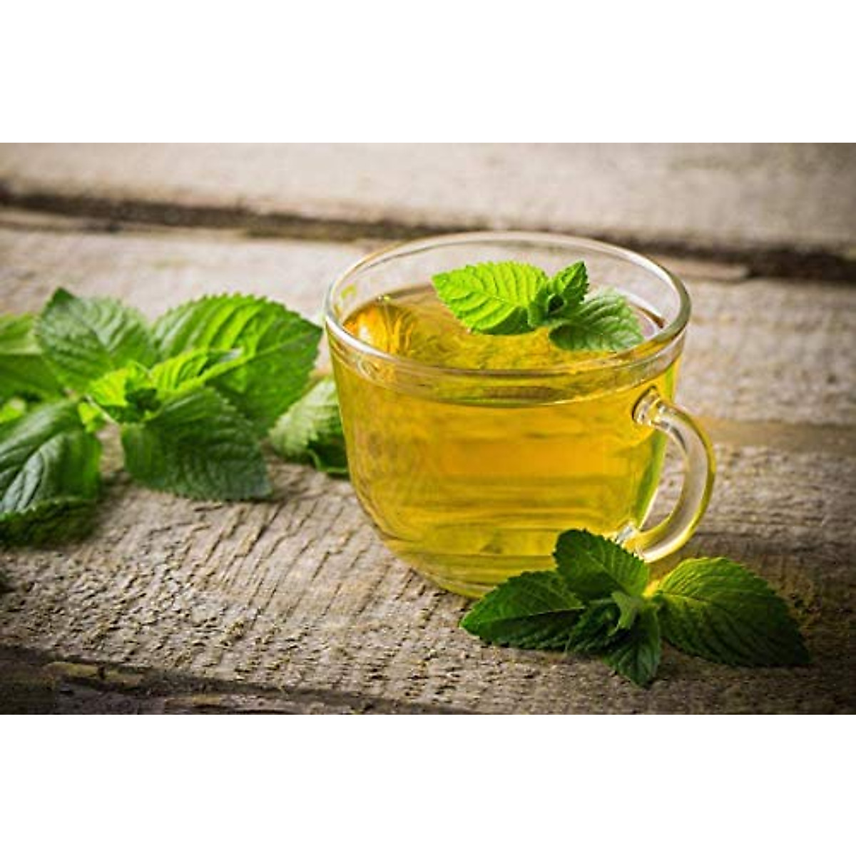 Gaea's Blessing Seeds - Mint Seeds - Non-GMO Seeds with Easy to Follow Planting Instructions - Spearmint - 90% Germination Rate