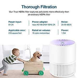 Smart Air Purifiers for Home - Air Cleaner with HEPA Filter Filters Out 99.97% Dust, Dander, Smoke, Odor for Home, Bedroom, Living Room, Kitchen Ultra Quiet and Effective