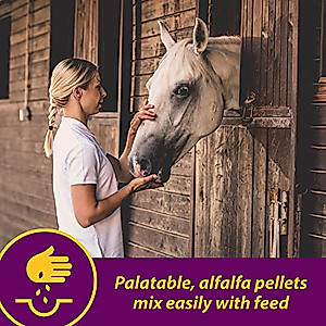 Horse Health Shur Hoof Hoof Supplement for Horses, Helps Grow Strong, Tough Hooves, 2.5 Pound, 40 Day Supply