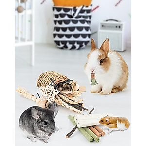 Bissap Bunny Chew Toys, Natural Seagrass Hanging Basket Chews Water Plant Woven Chinchillas Chewing Treats for Rabbits Guinea Pigs Chinchillas Hamsters Rats and Other Small Pets Teeth Grinding Toy