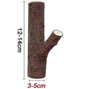 LHLLHL Handcraft Natural Wooden Tree Branch Hook Entryway Decorative Self-Adhesive Key Hooks Wood Coat Bag Hanger