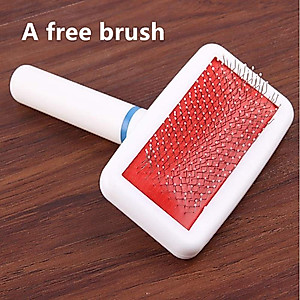 Asuprui Genuine Sheepskin Rug Bedroom Fluffy Rug Natural Fur Rug Nursery Rug 2X3 Feet Ivory Animal Rugs Bear Skin Rugs for Living Room Bedroom Sofa Chair