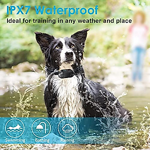 Dog Shock Collar - Training Effect is Obvious, Waterproof Rechargeable Electric Dog Training Collar with Remote for Small Medium Large Dogs (15-150lbs) with Flashlight Beep Vibration Shock Modes