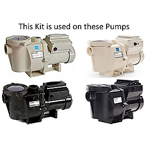 BadAss Pool Supply O-Ring Rebuild Repair Kit for Pentair WhisperFlo/IntelliFlo, Black Gasket, for Pumps Built 2-1-2008 and Later. This Includes The #1 Choice of Shaft Seals from US Seal Mfg.