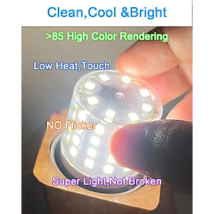 Megereet KEI D34L Refrigerator Bulbs AC 100-265V 3.5W Refrigerator Refrigerator Bulb Replacement 40W Halogen Equivalent Freezer 5304511738 Light Bulb Appliance Daylight White 5000K Pack of 2