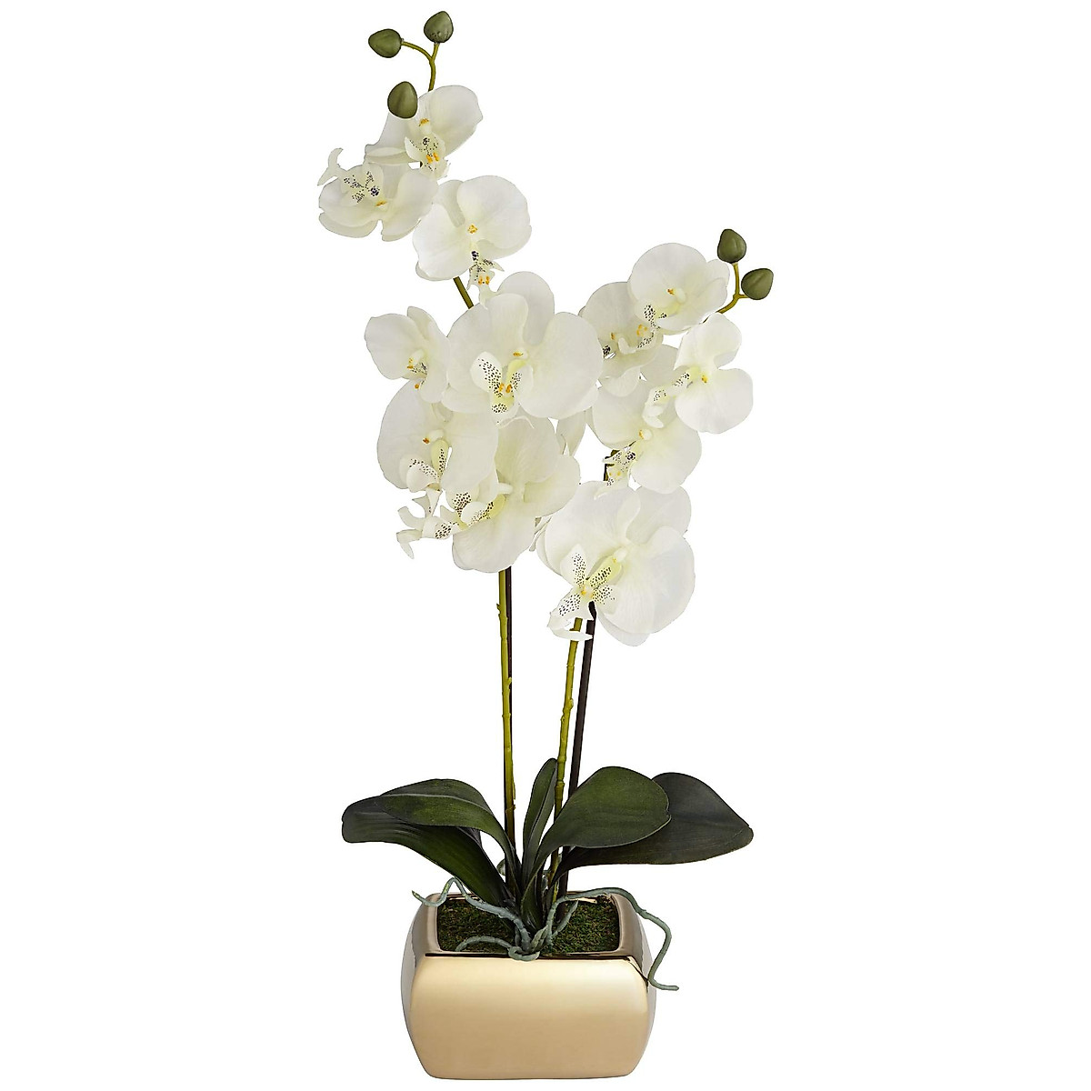 Dahlia Studios Potted Silk Faux Artificial Flowers Realistic White Phalaenopsis Orchid Greenery in Gold Ceramic Pot for Home Decoration Living Room Office Bedroom Bathroom Kitchen 22" High