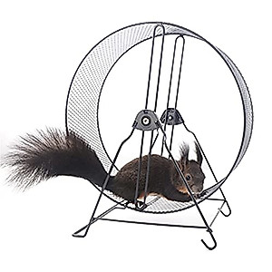 MGWYE Household Small Pet Hamster Running Wheel with Stand Running Jogging Toy Playing (Color : B)